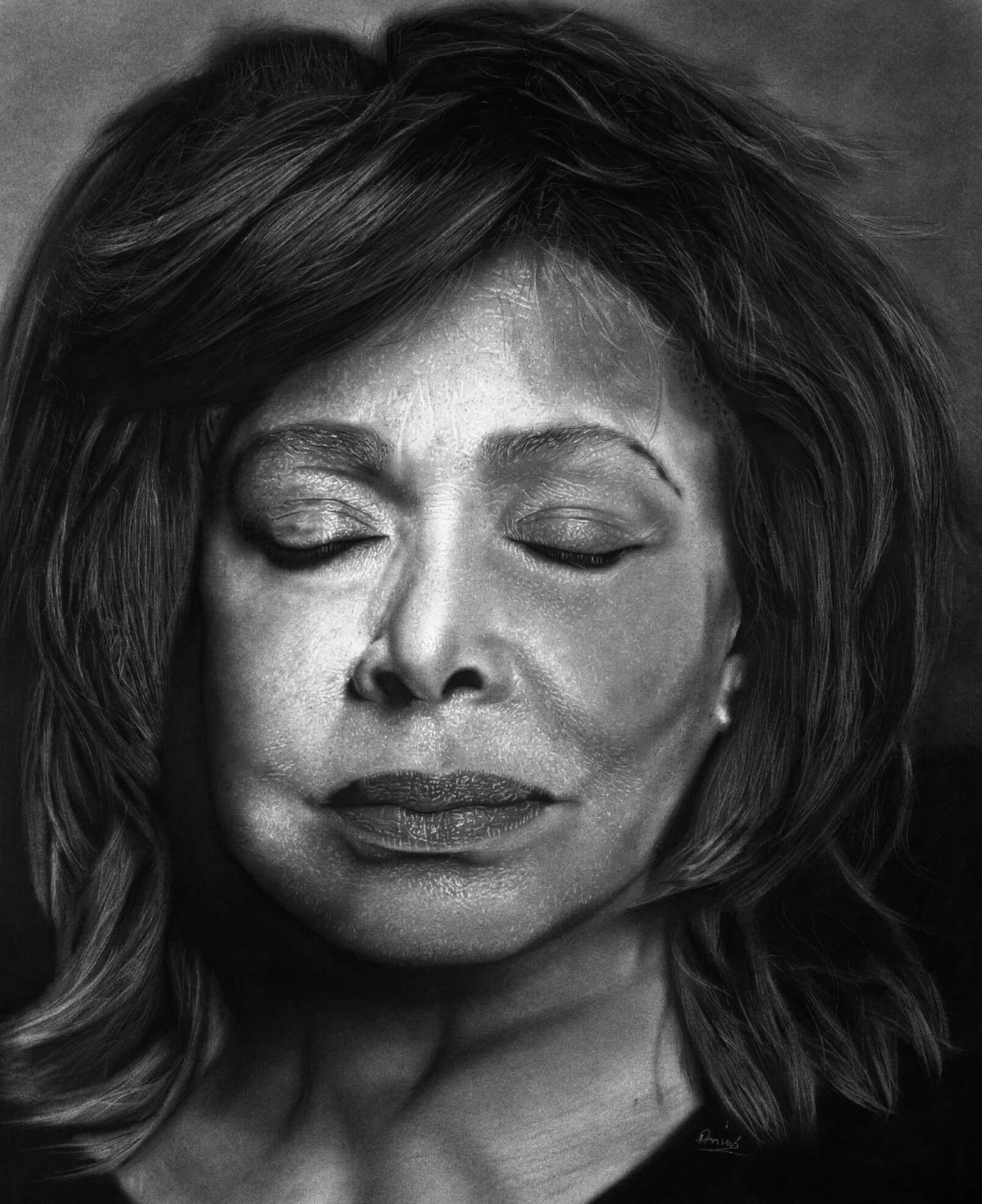 Tina Turner – Dullal Miah Arts